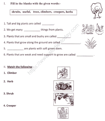 CBSE Class 1 EVS Plants Around Us Worksheet